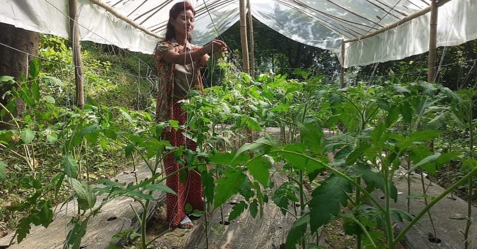 Manakamana Development Solutions